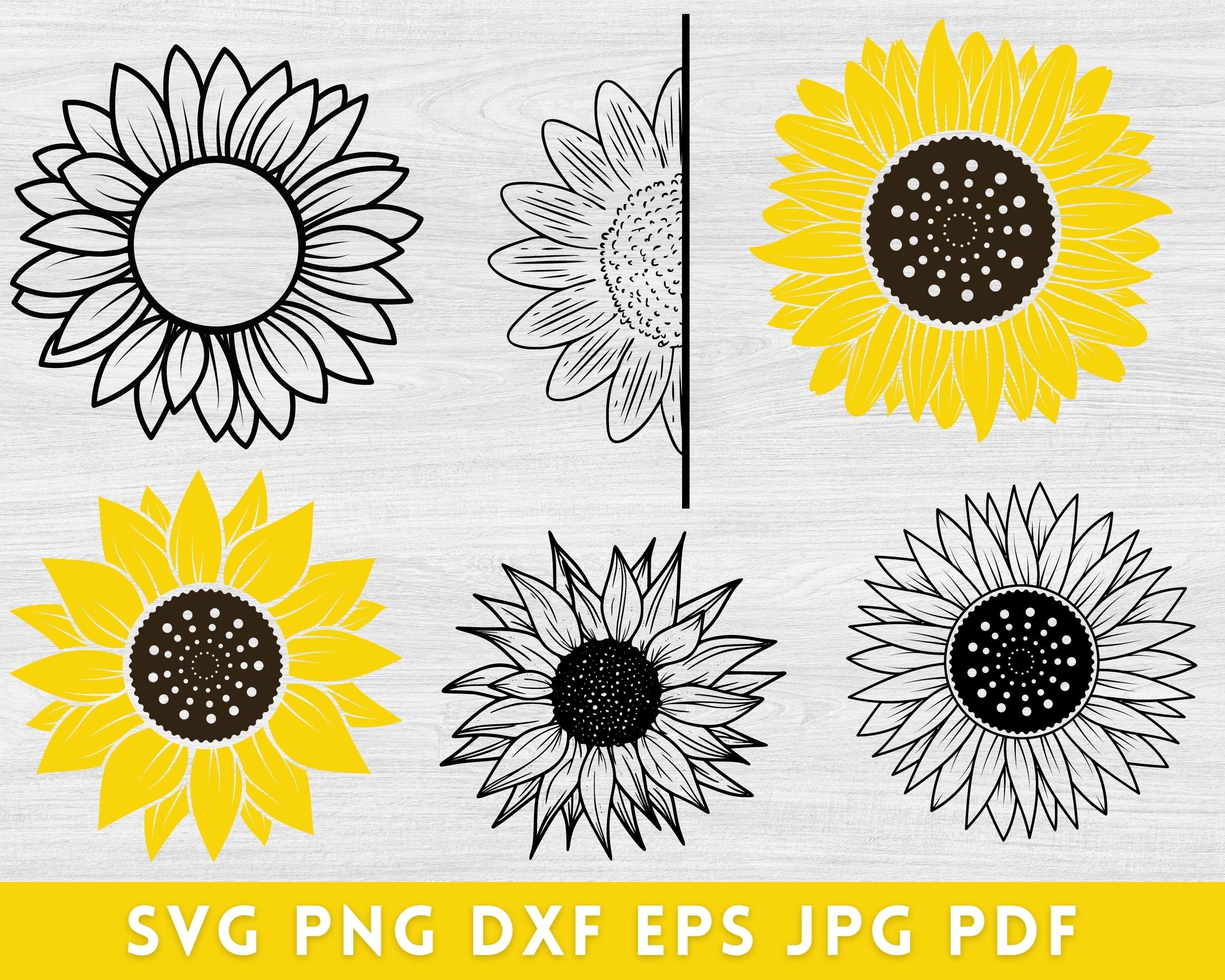Sunflower Svg Flower Svg Sunflower Png Sunflower Clipart - Etsy