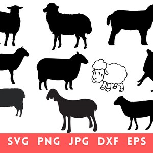 Sheep Svg, Sheep Png, Cute Sheep Svg, Sheep Clip Art, Sheep Cricut ...