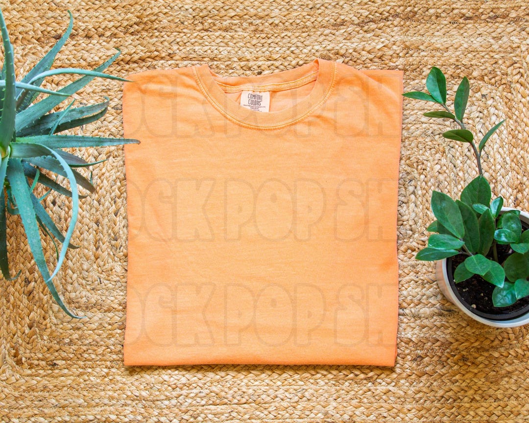 Comfort Colors 1717 Melon T-shirt Mockup - Etsy