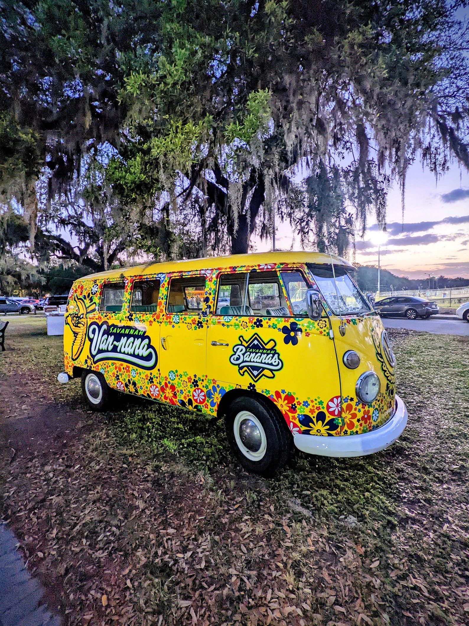 Savannah Bananas Van - Etsy