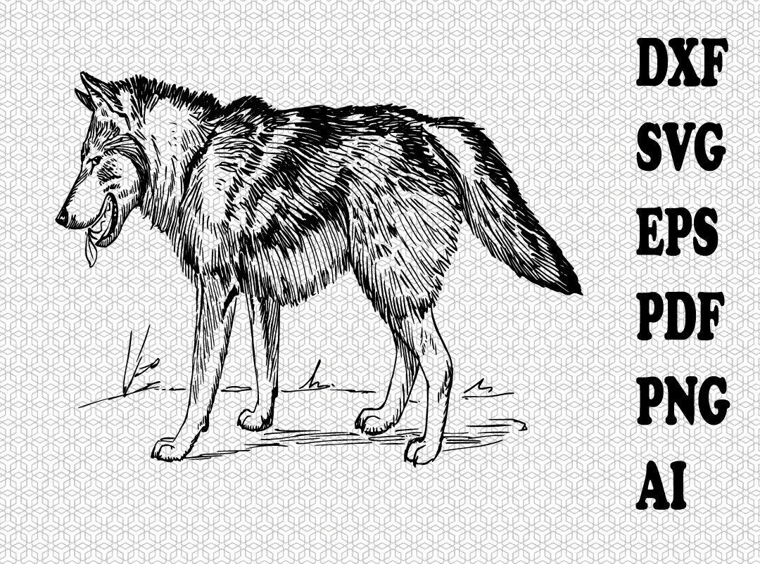 WOLF Carnivore Svg Wolf Svg Cut File for Cricut Wolf SVG - Etsy