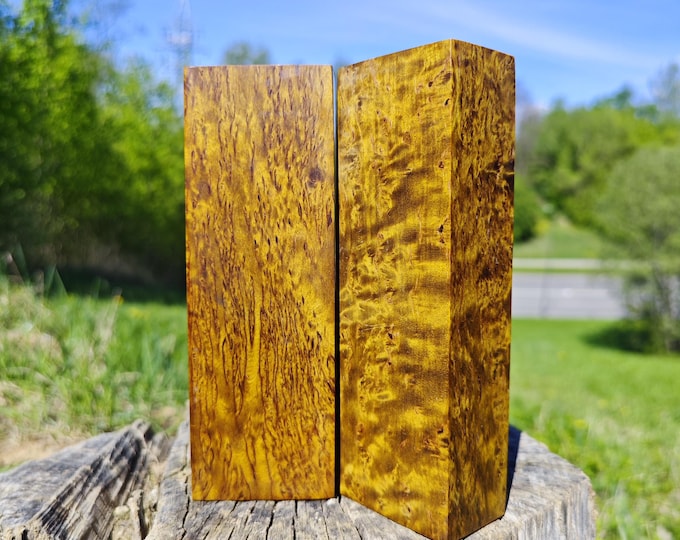 Amber Color. Stabilized Karelian Curly Birch Wood. - Etsy