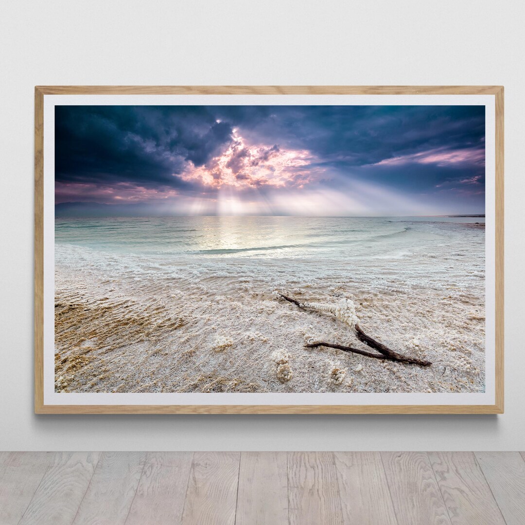 Dried Salty Wood on Dead Sea Salt Shores Print by Tzvika Stein ...