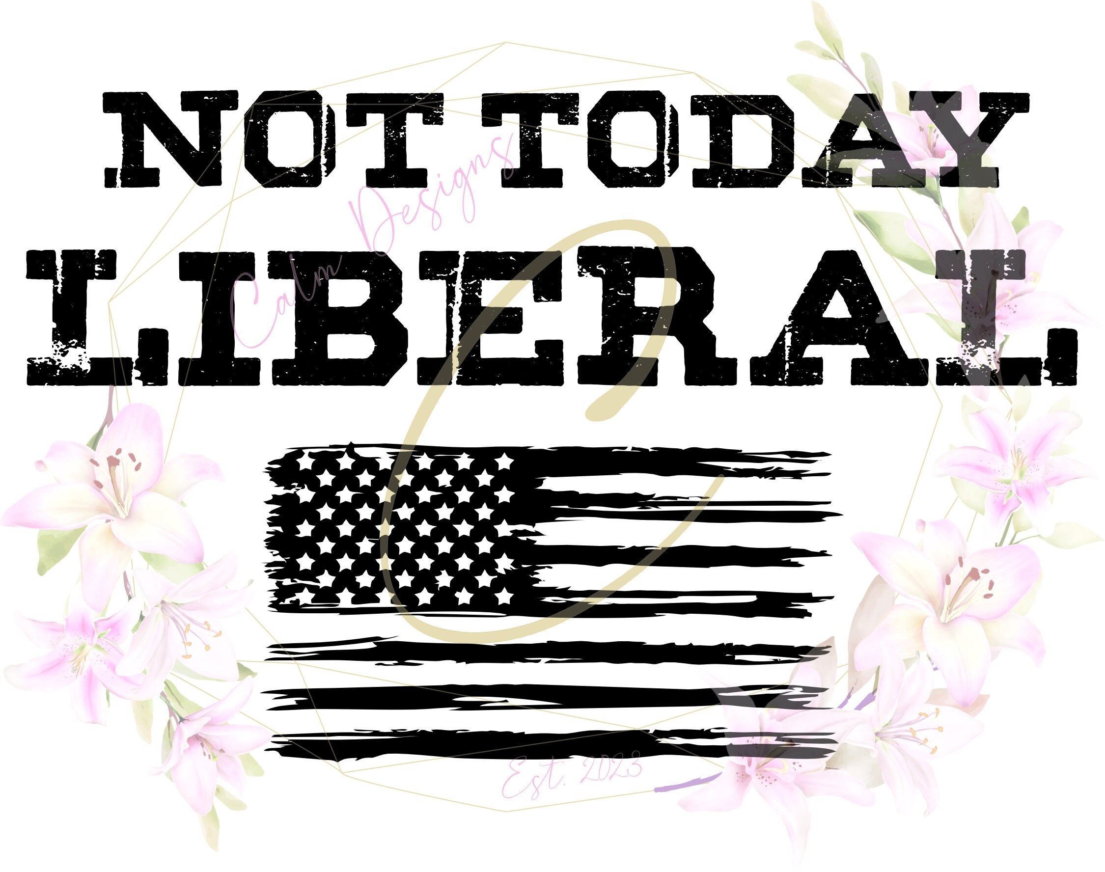 Not Today Liberal SVG - Etsy