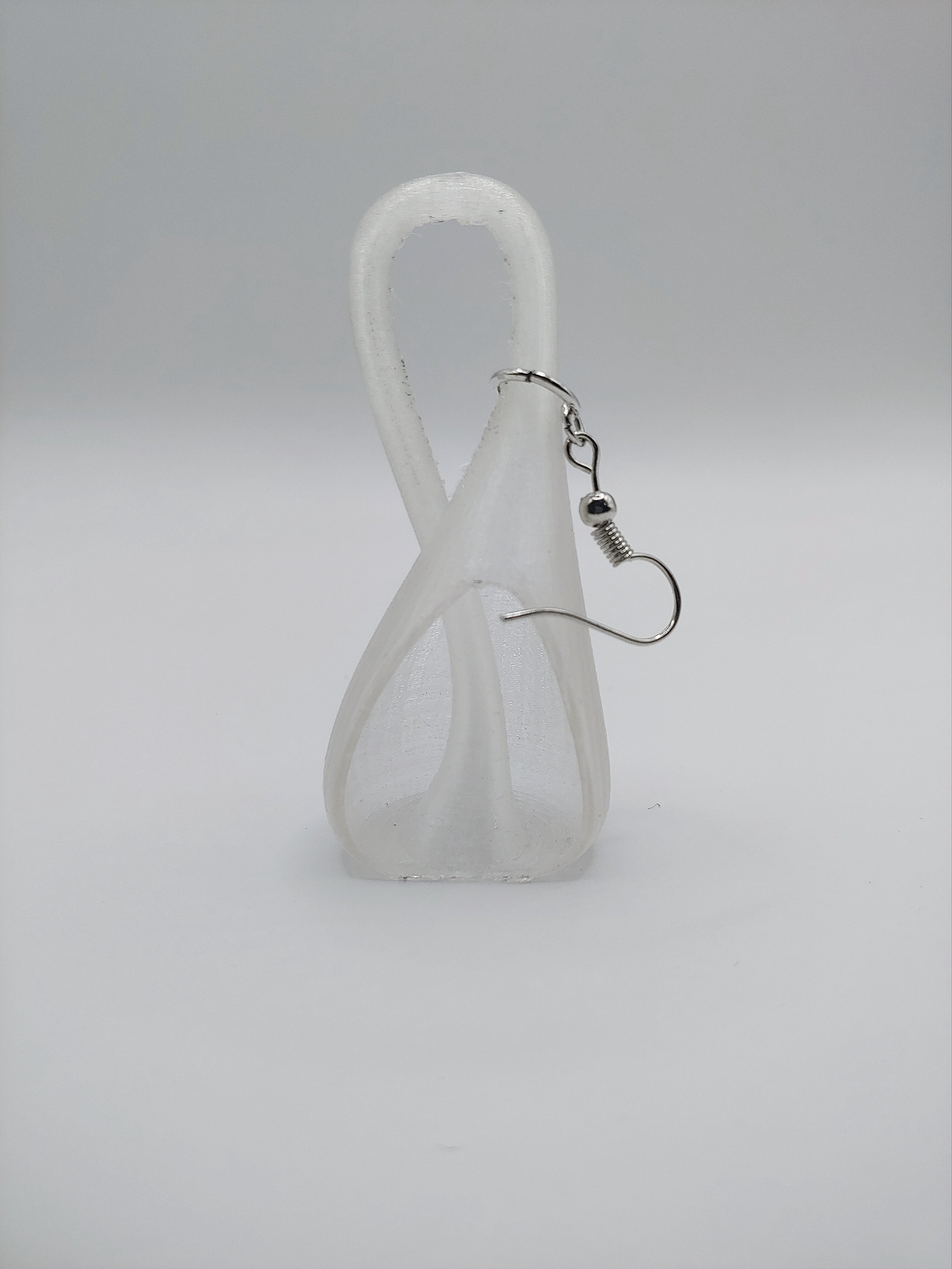 Klein Bottle 3D Geometry Earrings - Etsy