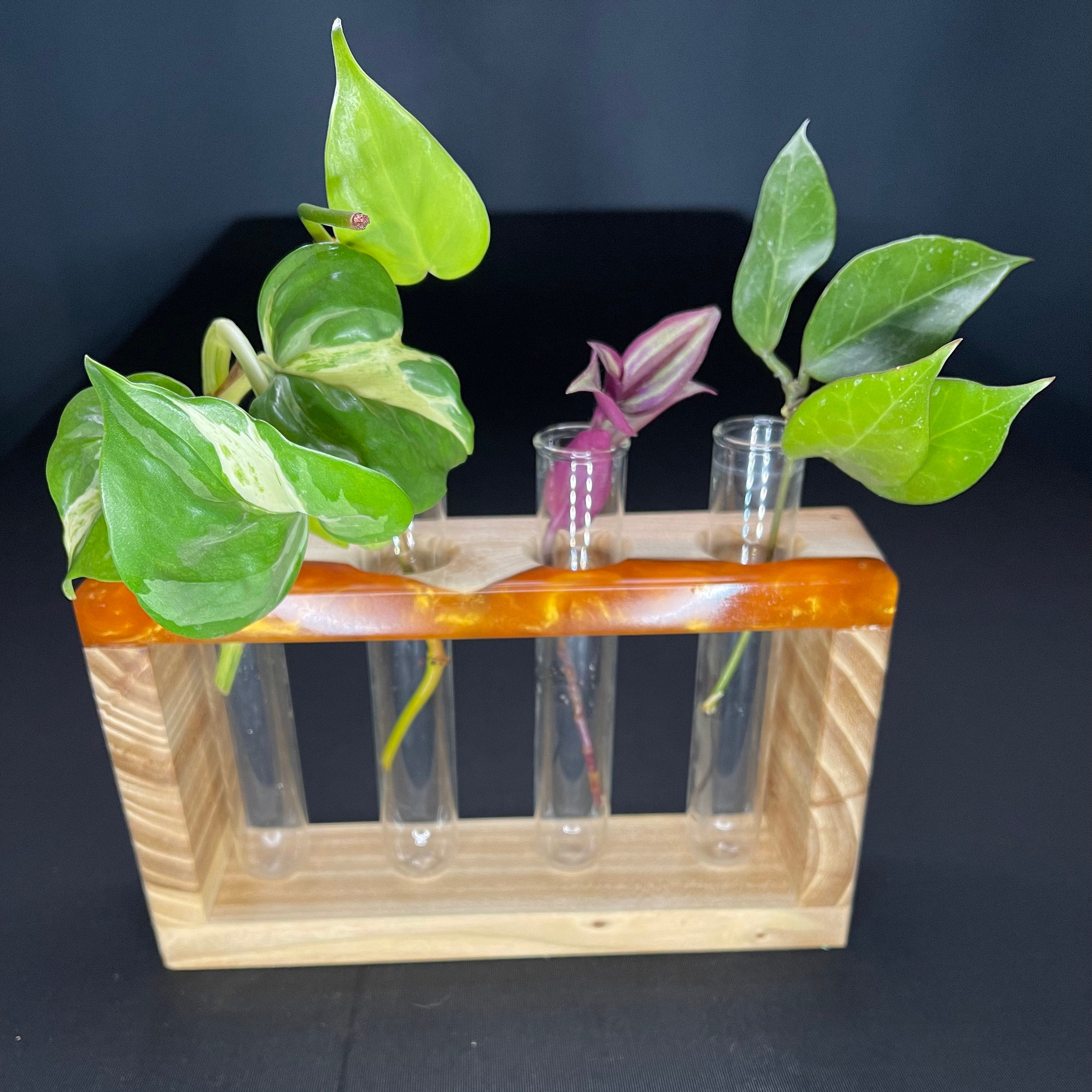 4 Tube Propagation Plant Stand **custom Made** - Etsy