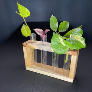 4 Tube Propagation Plant Stand **custom Made** - Etsy