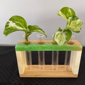 4 Tube Propagation Plant Stand **custom Made** - Etsy