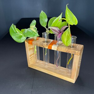 4 Tube Propagation Plant Stand **custom Made** - Etsy