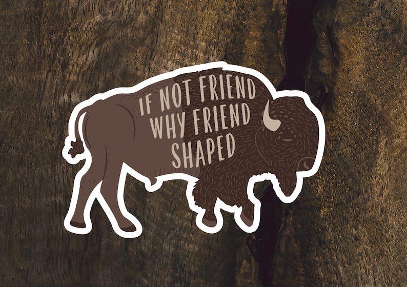 Fuck Around and Find Out Bison Sticker| Bison Decal | I Don't Like to ...