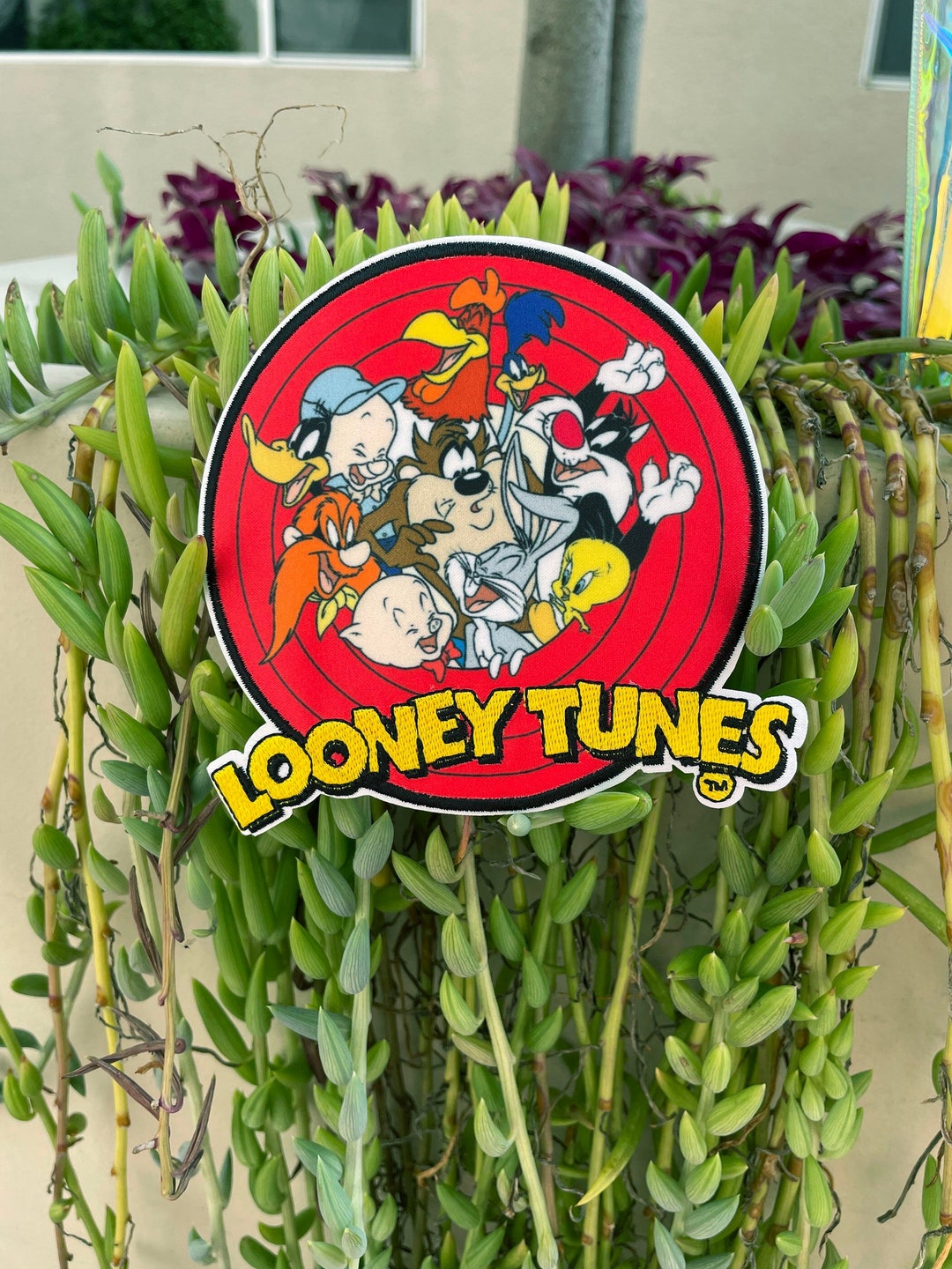 Looney Tunes Patch - Etsy