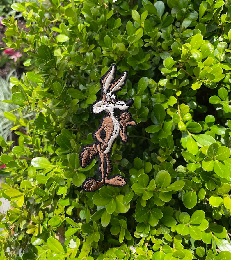 Wile E Coyote Patch - Etsy