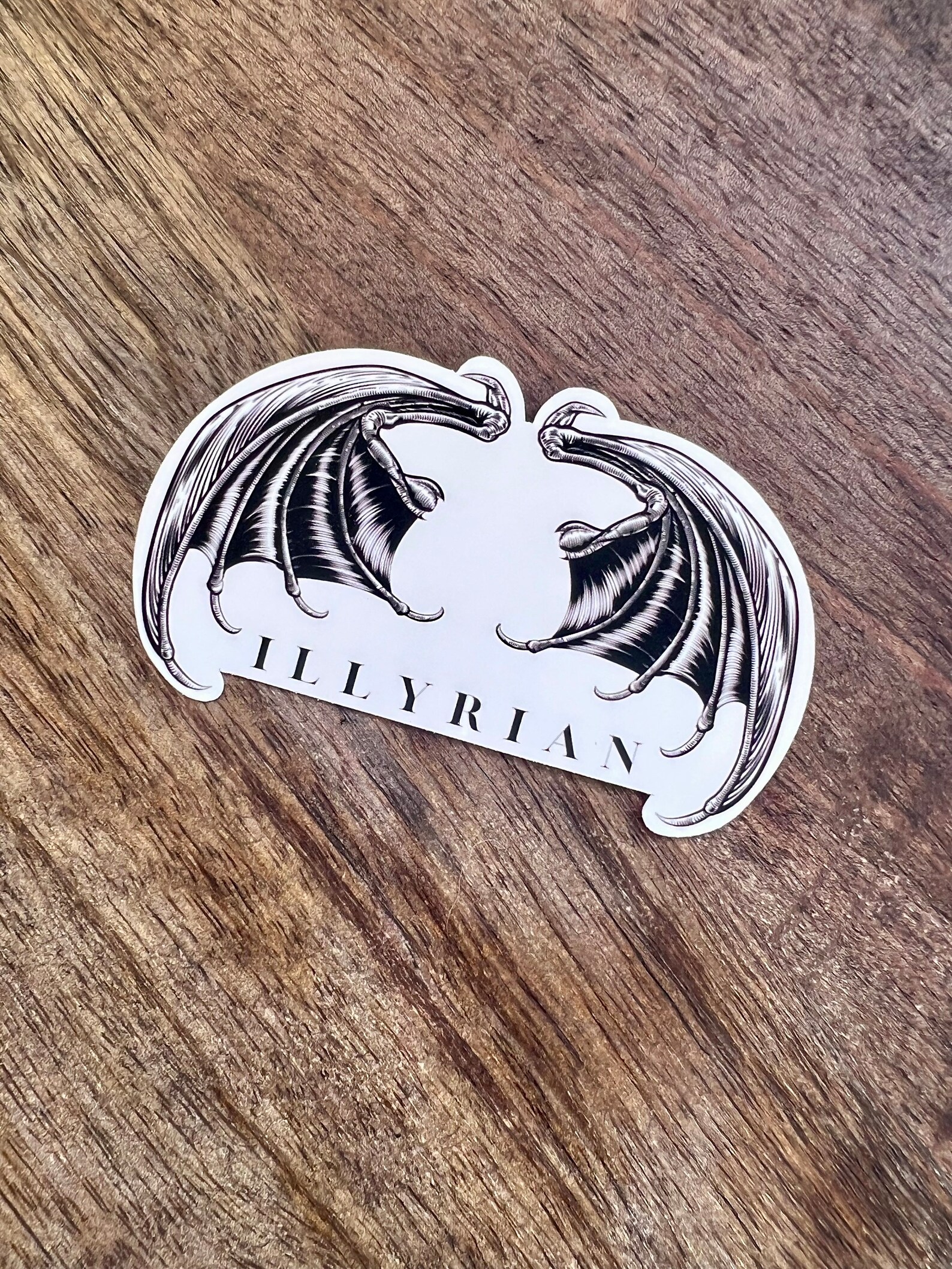 ACOTAR Illyrian Wings Sticker VINYL STICKER Booktok - Etsy