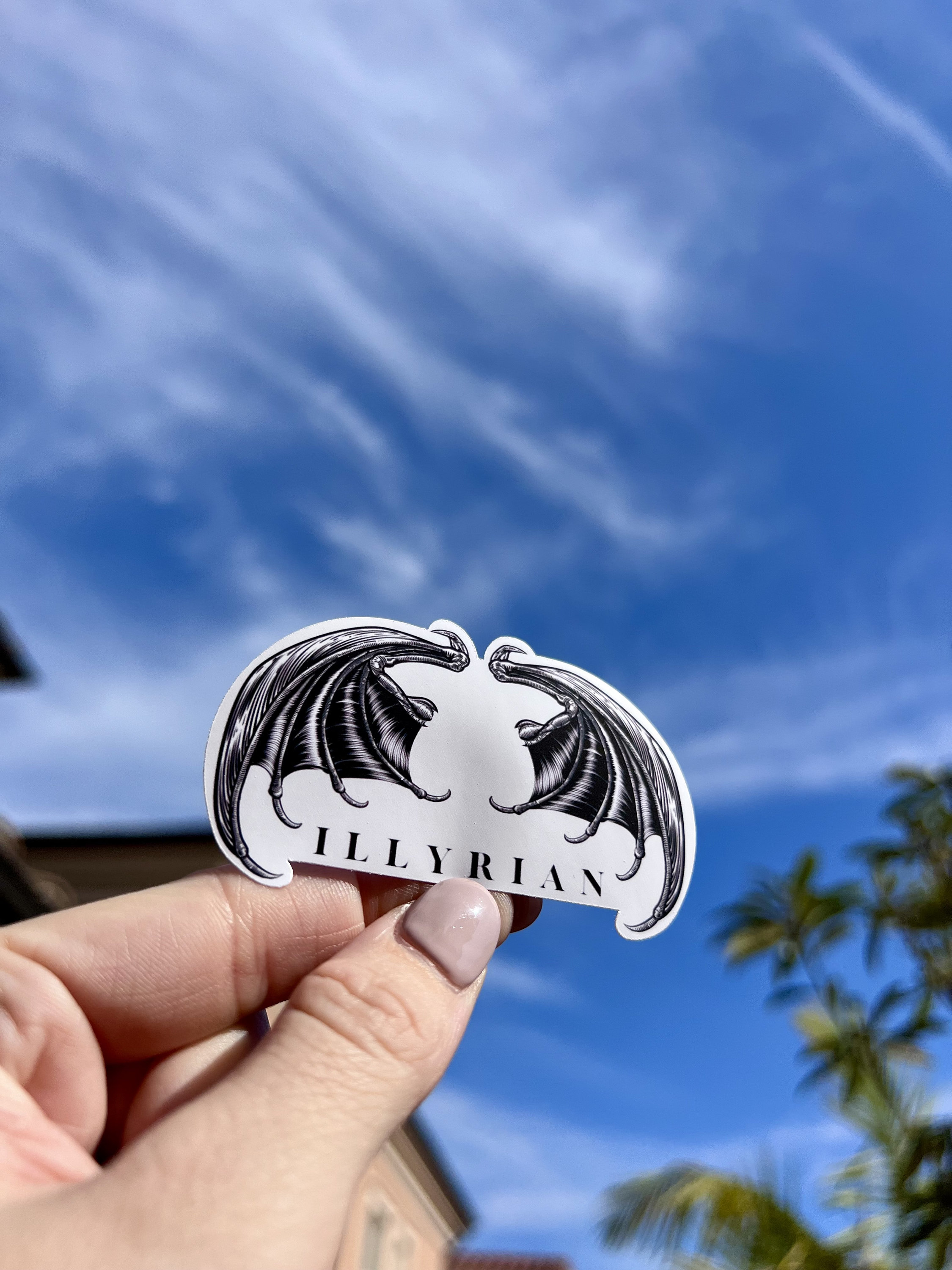 ACOTAR Illyrian Wings Sticker VINYL STICKER Booktok - Etsy