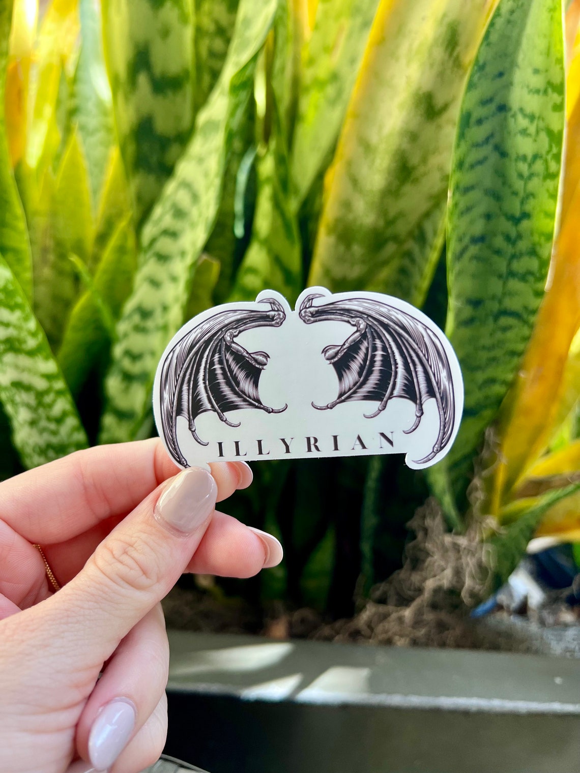 ACOTAR Illyrian Wings Sticker VINYL STICKER Booktok - Etsy