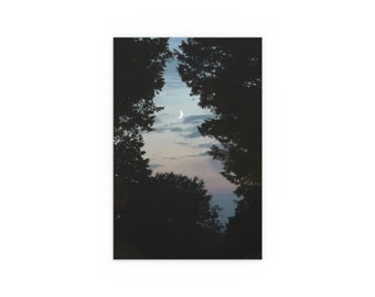 New Moon Cat - Etsy Australia