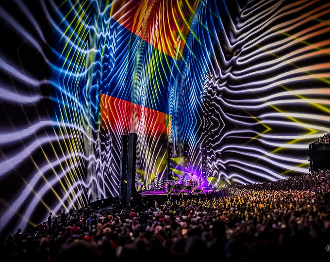 Phish Concert Poster: Vibrant 'down With Disease' Performance Graphic ...