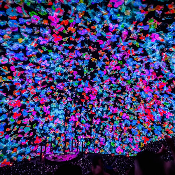 Phish Sphere Print - Etsy