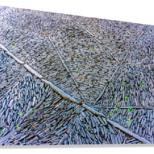 Historic Mexican Cobblestone Art Print: Timeless Charm of Heritage in ...