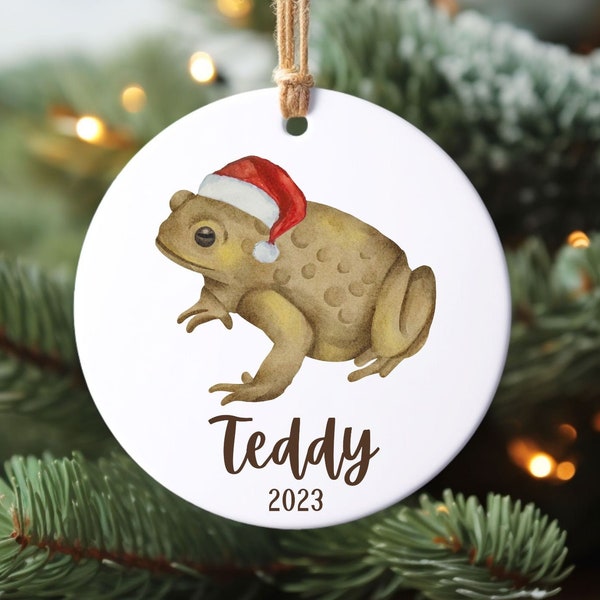 Frog and Toad Christmas - Etsy