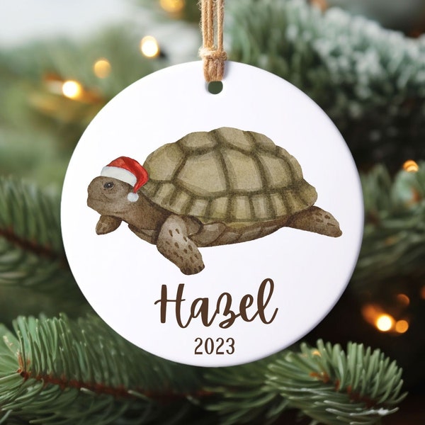 Turtle Gifts - 60+ Gift Ideas for 2024