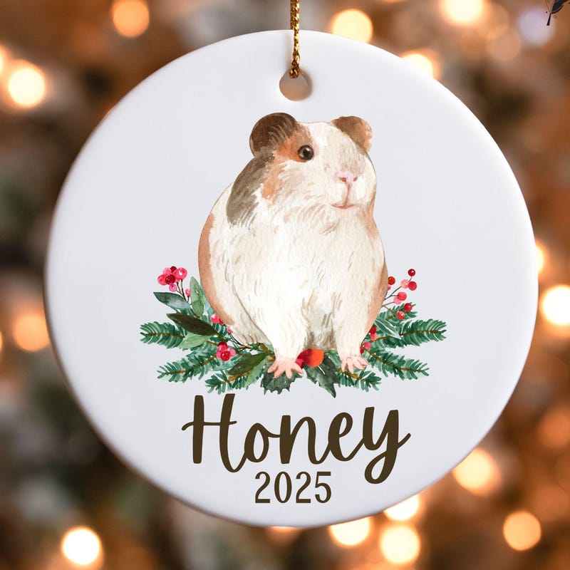 Guinea Pig Pet Bauble - Etsy