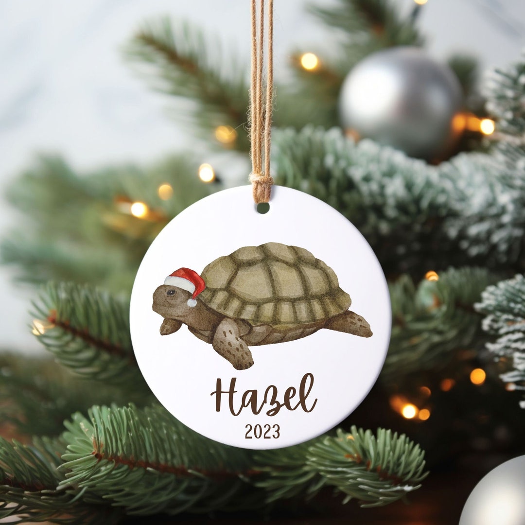 Personalized Box Turtle Ornament Turtle Adoption Christmas Gift Custom ...