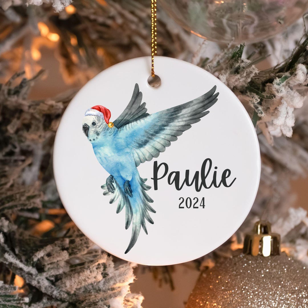 Personalized Parakeet Ornament With Name and Year Christmas Gift for ...