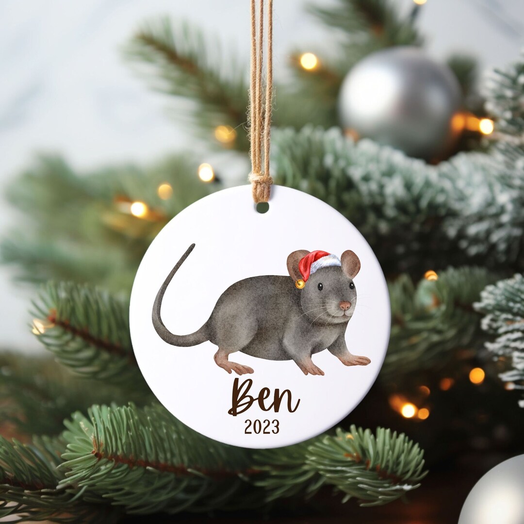 Personalized Pet Rat Ornament With Name and Year Christmas Gift for New ...