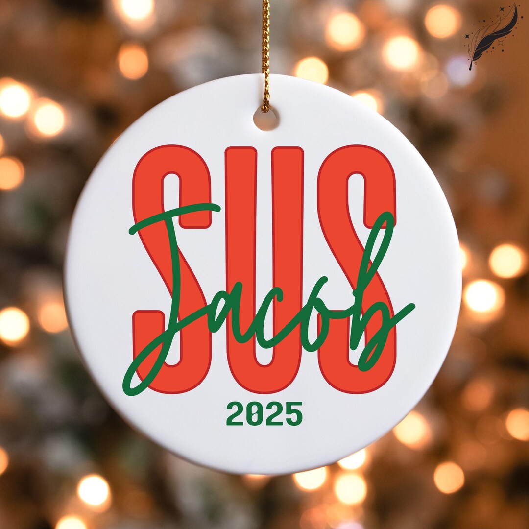 Sus Ornament Funny Personalized Ceramic Ornament Customized Christmas ...