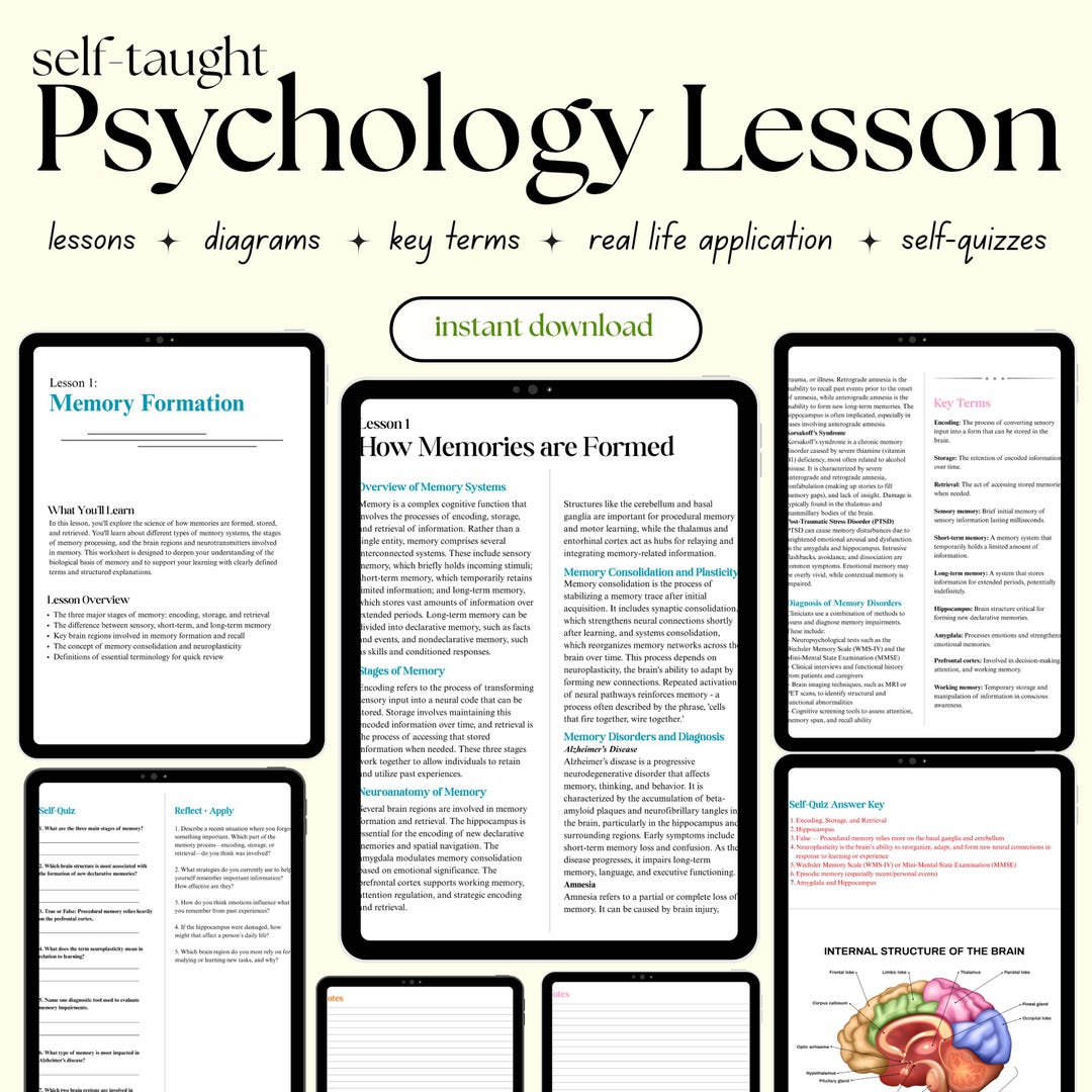 Psychology Memory Lesson, Study Guide Worksheet (digital Download) - Etsy