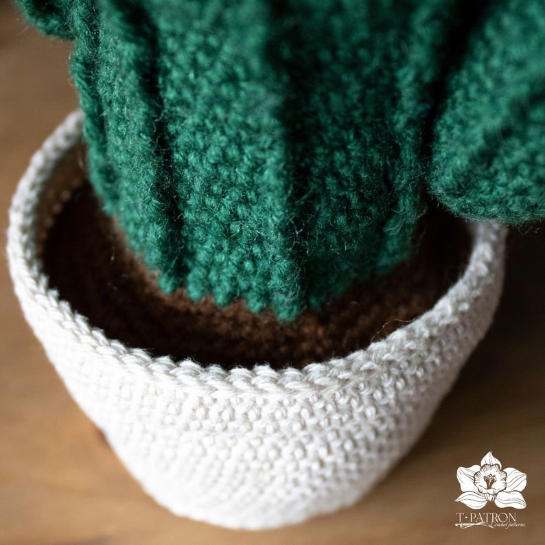 Cactus Crochet Pattern Pdf Cactus Cereus - Etsy