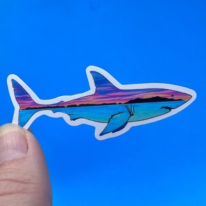 Shark Sticker Decal Waterproof Vinyl Water Bottle Sticker Window ...