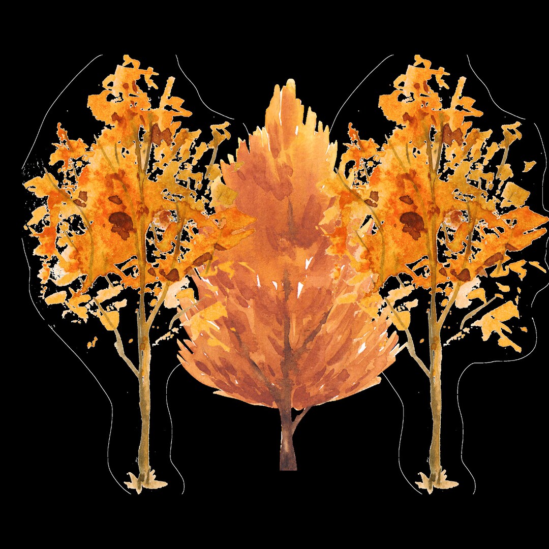 Three Autumn Trees Transparent PNG High Resolution - Etsy