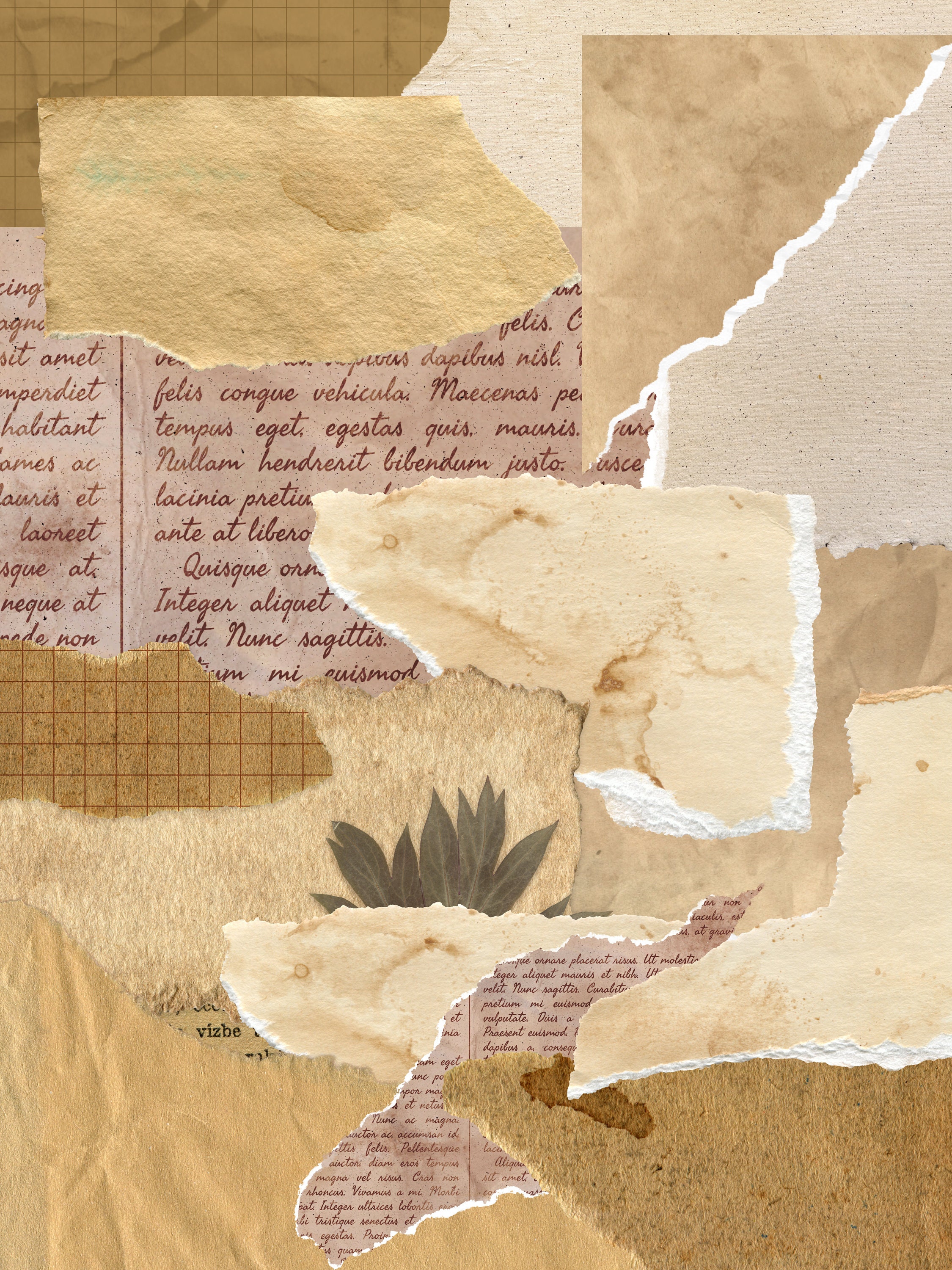 Torn Brown Paper, Background Images, 15 Unique Collages for ...