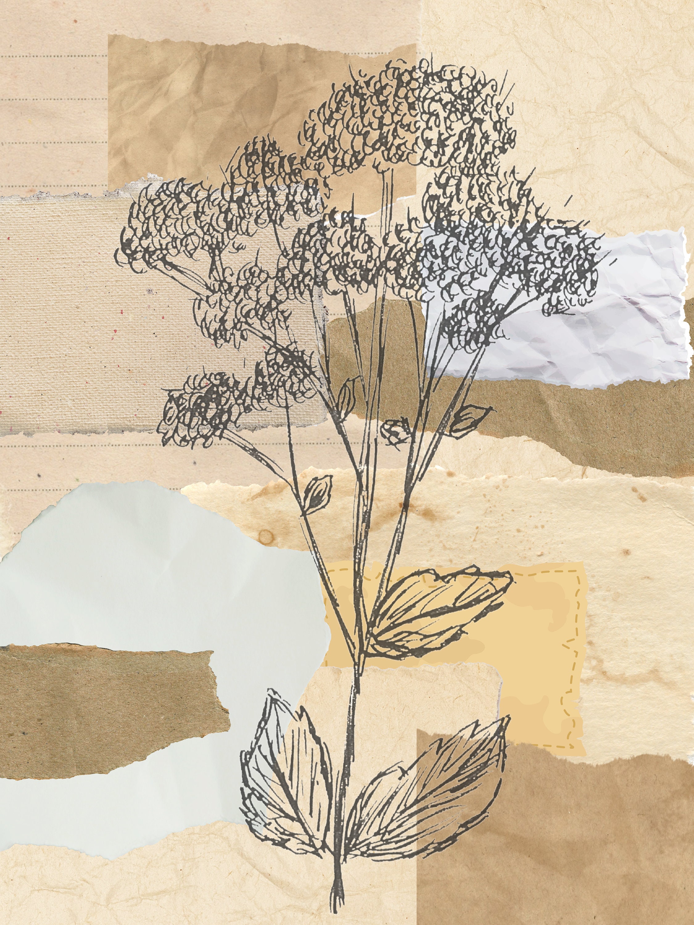 Hand-drawn Flower Collage: Vintage Paper Art (digital Download) - Etsy