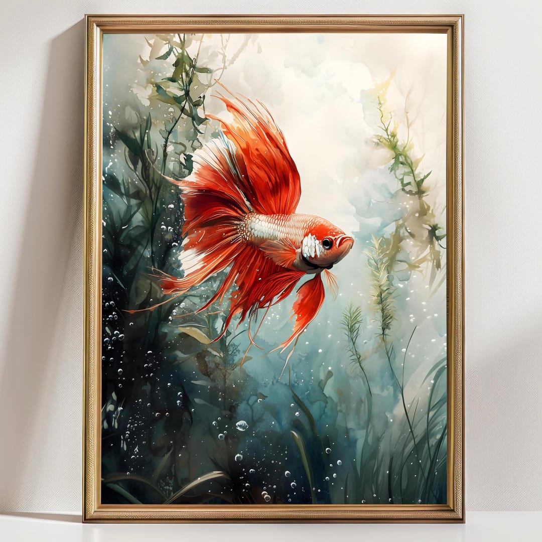 Red Betta Fish Wall Art – Underwater Betta Poster, Aquatic Decor Print ...
