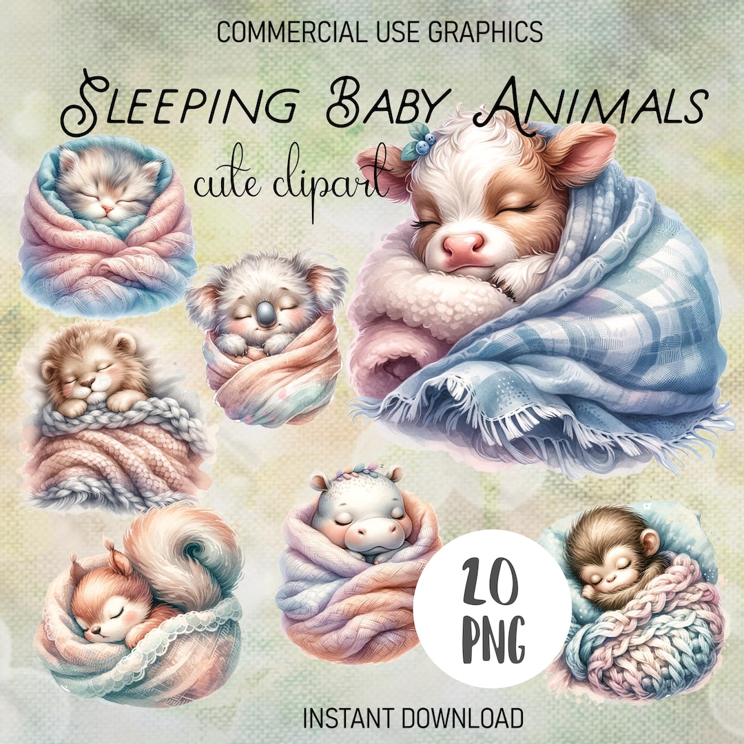 Sleeping Baby Animals, 20 JPG Images, Sleeping Animals Graphics ...