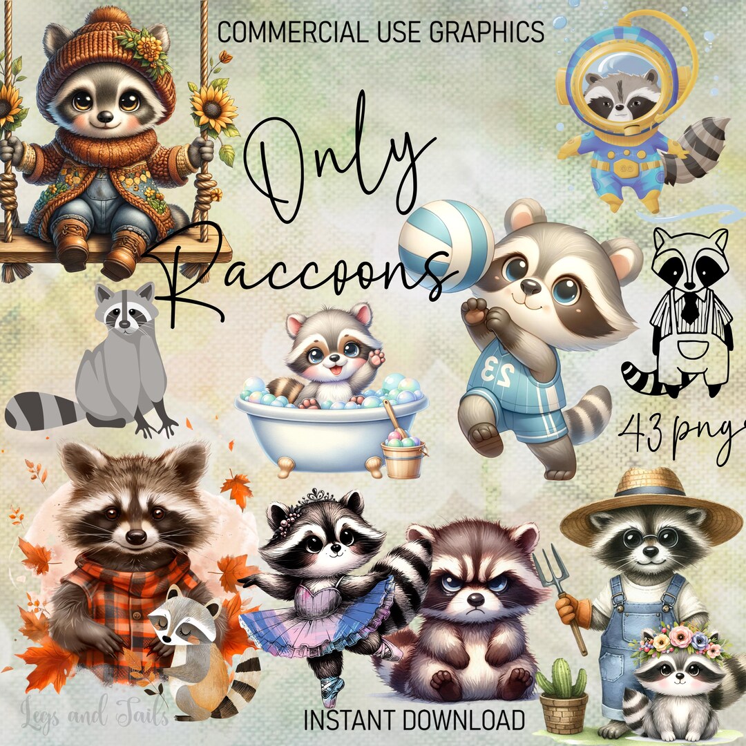Cute Raccoon Art Woodland Animals Series, Raccoon Clipart, Forest ...