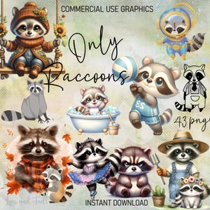 Cute Raccoon Art Woodland Animals Series, Raccoon Clipart, Forest ...