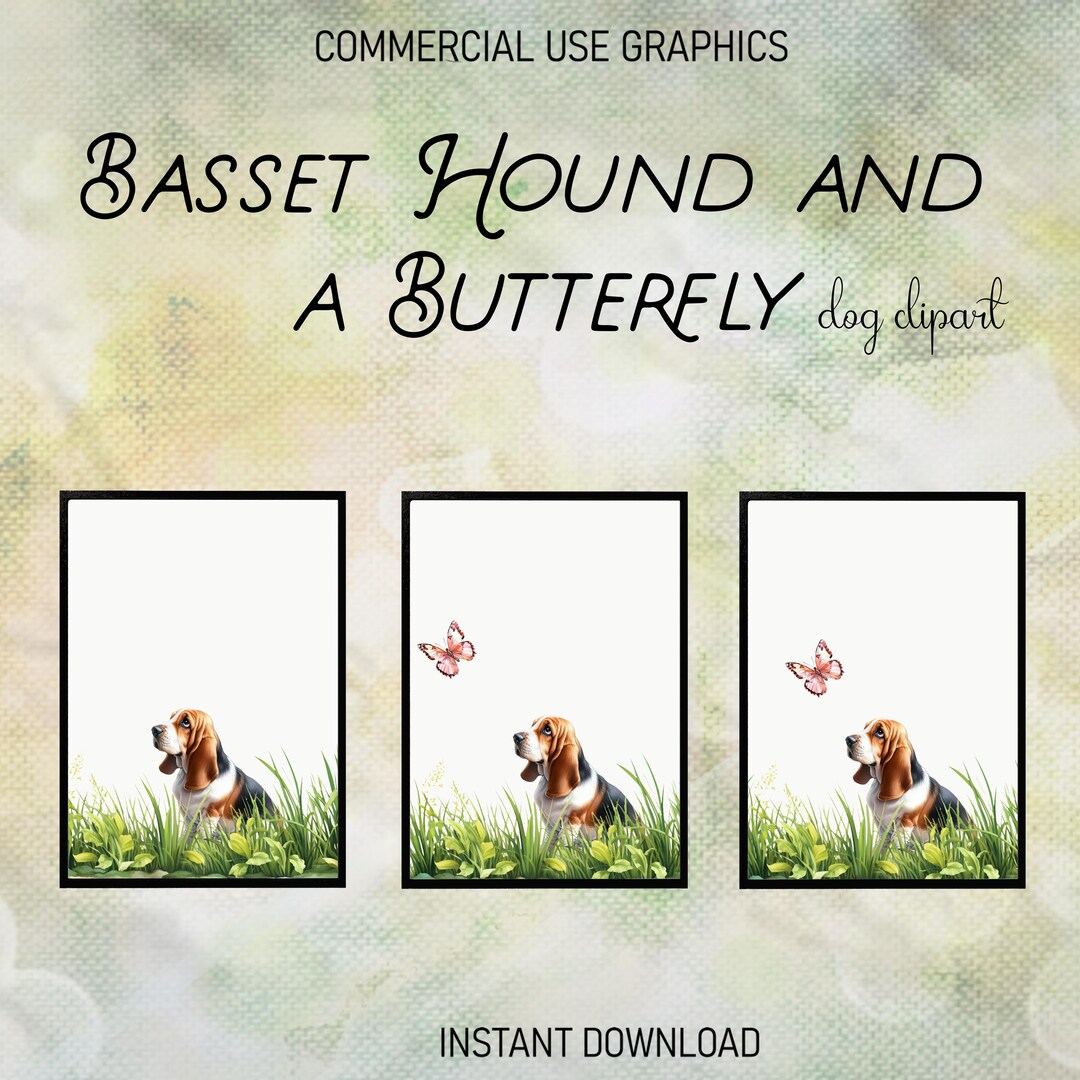 Basset Hound Dog, 3 PNG Images, Transparent Background, PNG Images ...