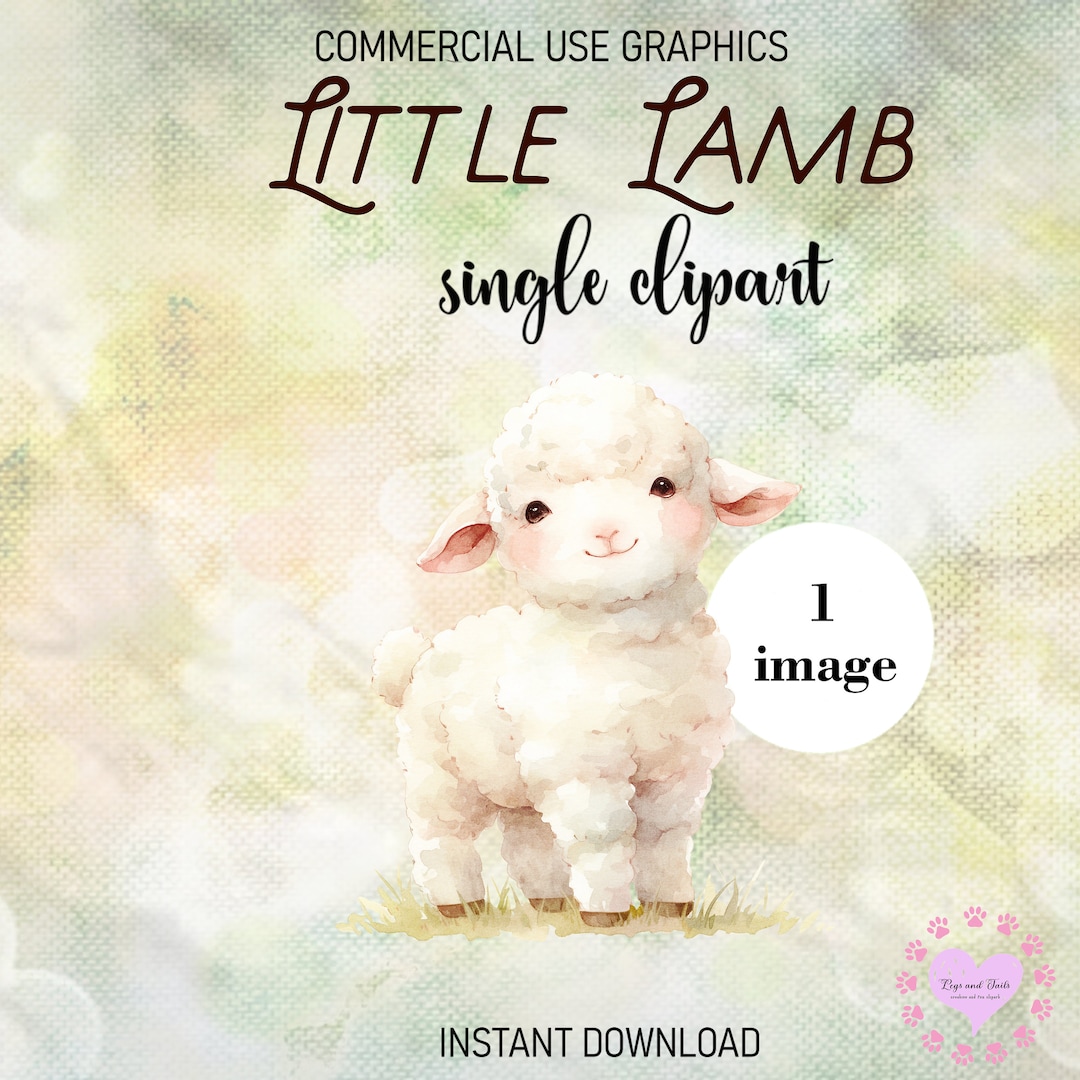 Little Lamb, SINGLE CLIPART, Cute Farm Animal, Cute Little Sheep, Lamb ...