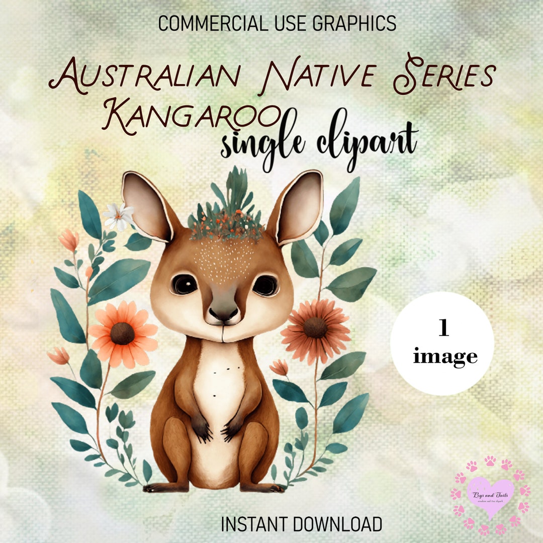 Australian Native Animal Kangaroo, Clipart, Watercolor, SINGLE IMAGE ...