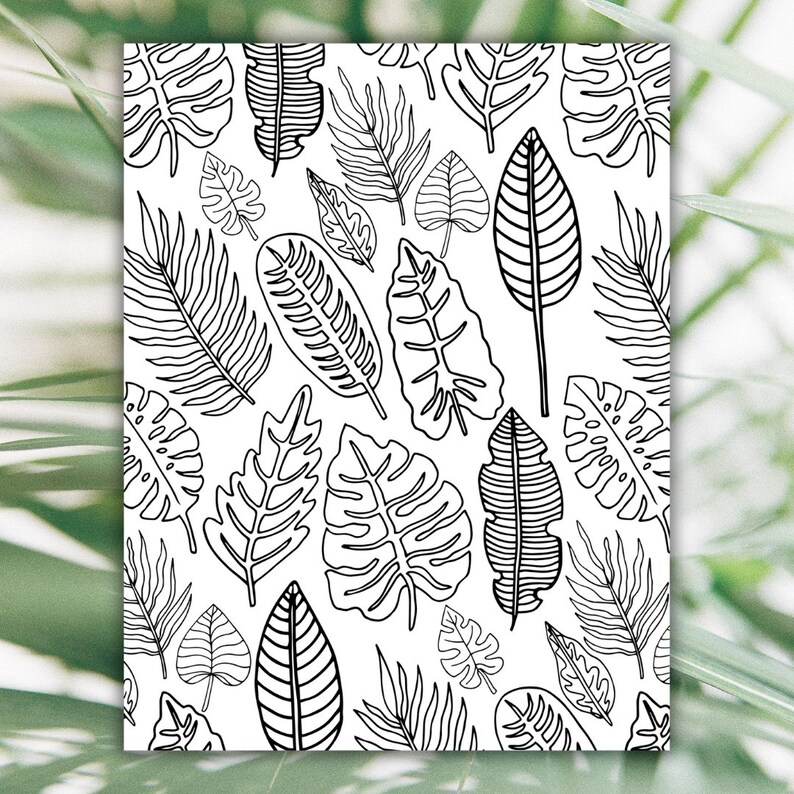 Nature Coloring Page Bundle Creative Activity Pages Coloring Nature ...
