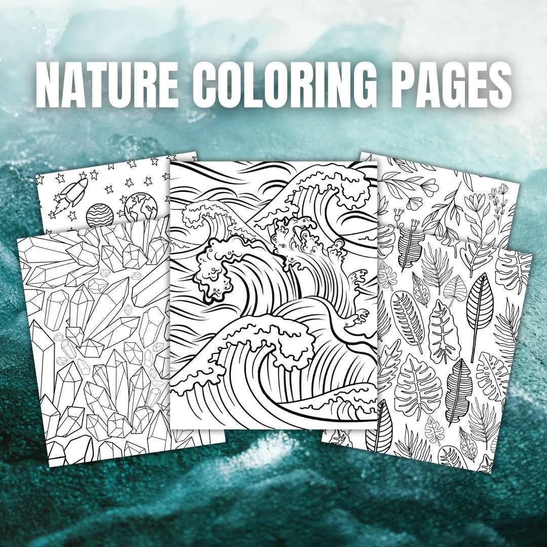 Nature Coloring Page Bundle Creative Activity Pages Coloring Nature ...