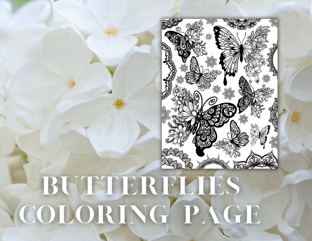 Butterfly Coloring Page: Mandala Designs Adult Coloring Book (PDF) - Etsy