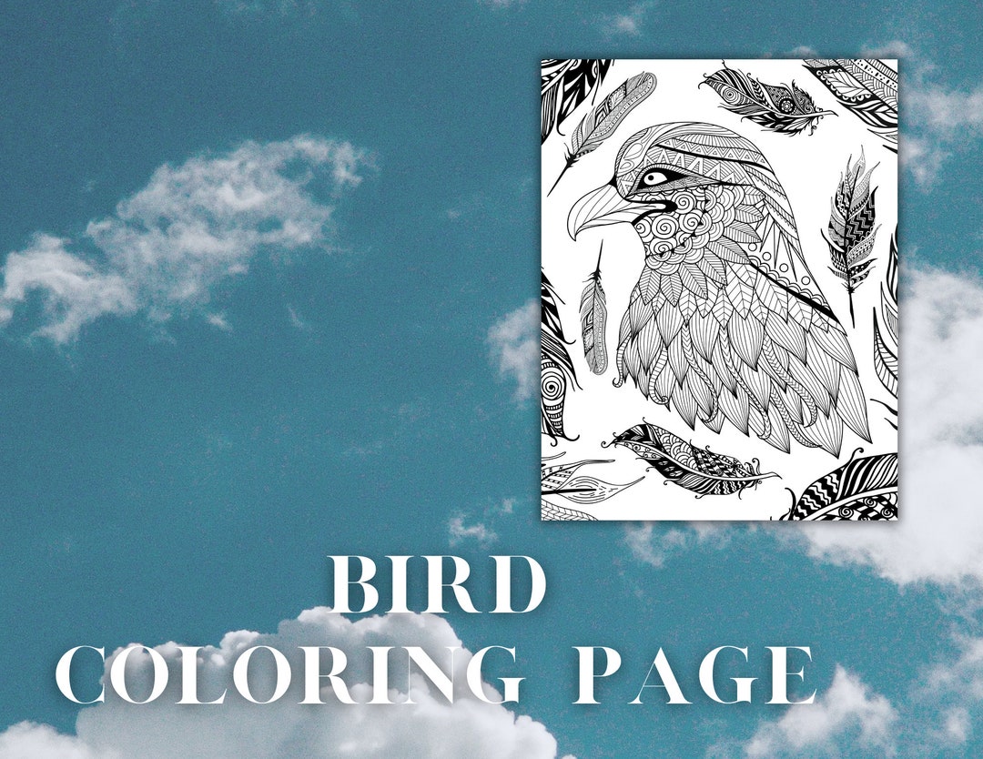 Bird Adult Coloring Page Printable Coloring Page Bird Coloring Page ...