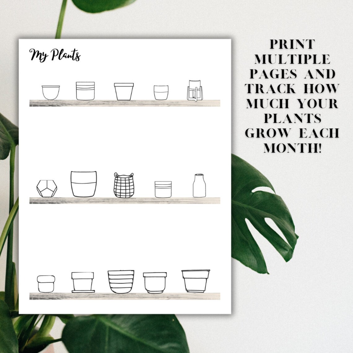 A5 Size Plant Tracker Printable Plant Shelf Tracker Plant Growth ...