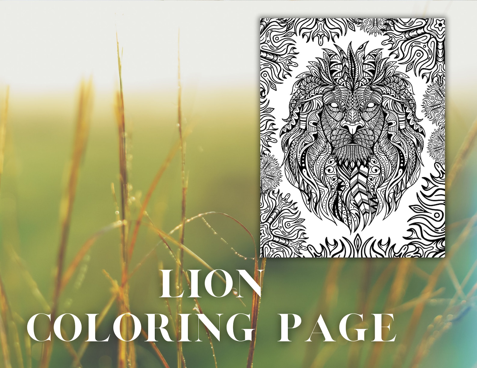 Lion Coloring Page Printable Coloring Book Adult Coloring Page Digital ...