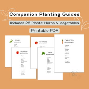 Printable Companion Planting Chart | Quick Garden Reference Guide PDF ...